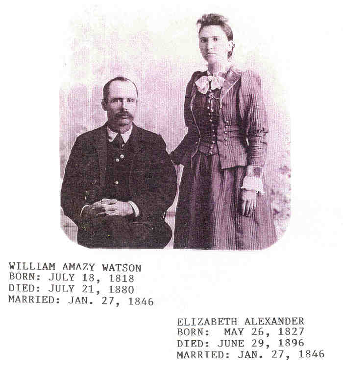 Elizabeth Eveline Alexander